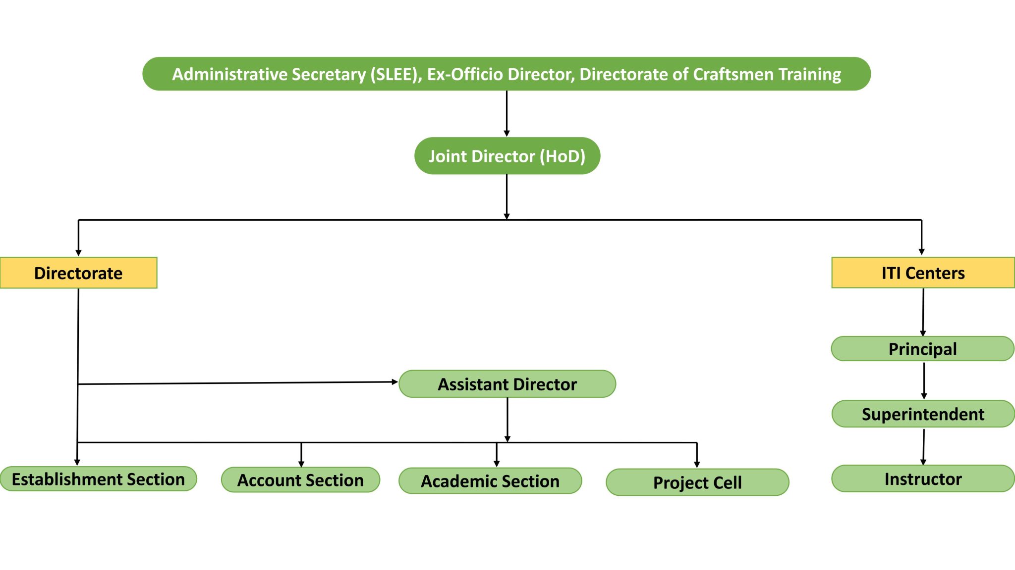 Organizational Structure – DIRECTORATE